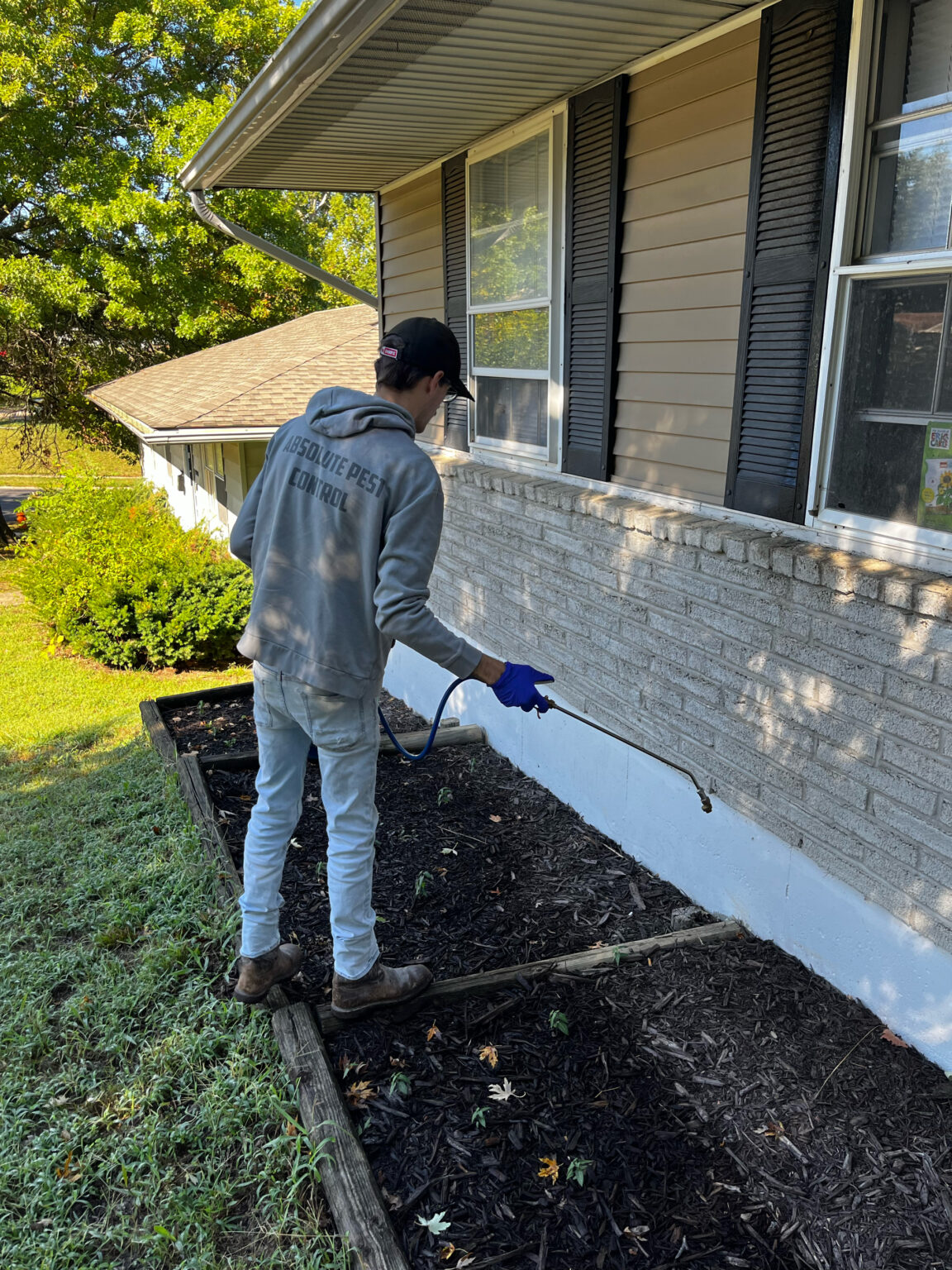 About Absolute Pest Control | Discover Why We Are the Most Trusted Pest ...